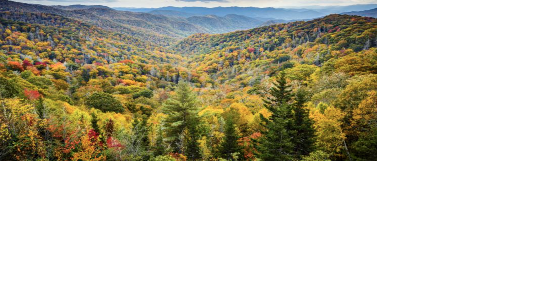 Here's your fall color forecast! | News | biltmorebeacon.com