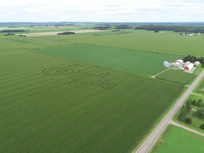 Bloomer Farmer Uses Modern Technology To Create Corn Maze | Front Page ...