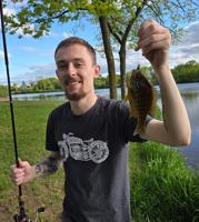 Obituaries | bloomeradvance.com