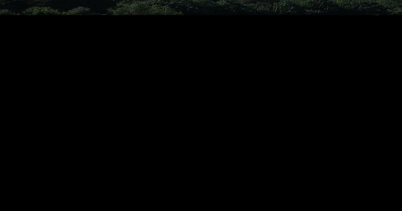 Cell Tower Damage Necessitates Remote Mobility Zone | Photos ...