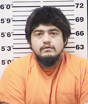 Homeless man arrested after grabbing for officer’s gun | Regional News ...
