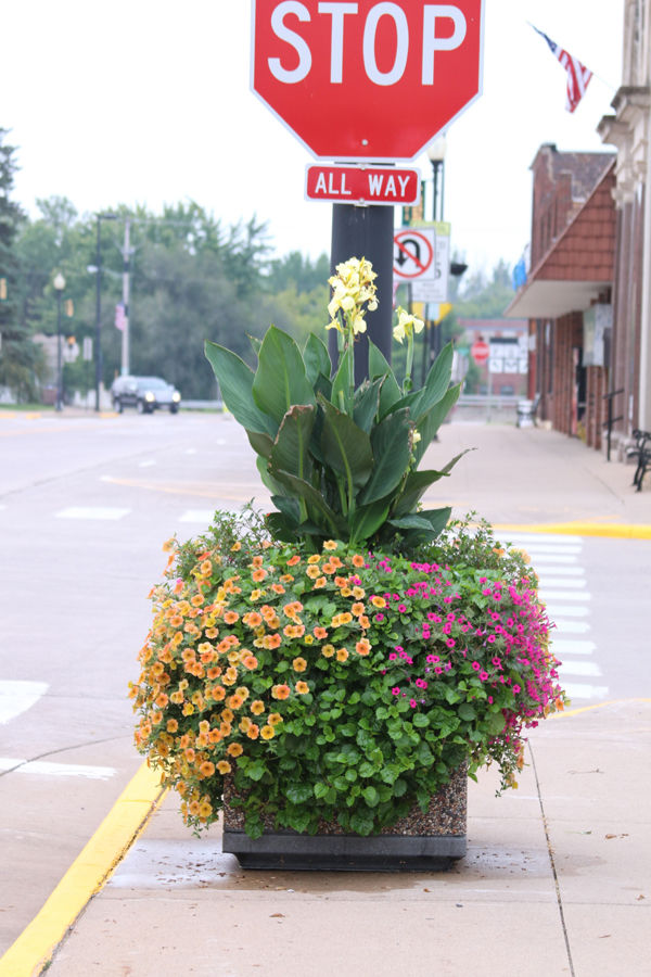 New Planters On Main Street | Community News | bloomeradvance.com
