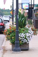 New Planters On Main Street | Community News | bloomeradvance.com