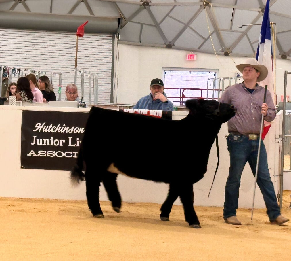Hutchinson County 4-H Exhibitors Shine at Junior Livestock Show | News ...