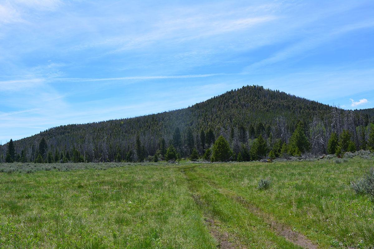 Three routes of discovery to Boulder Park | Features | boulder-monitor.com