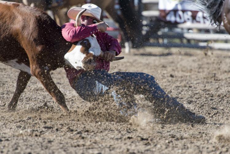 2021 Fair and Rodeo Photos | Multimedia | boulder-monitor.com