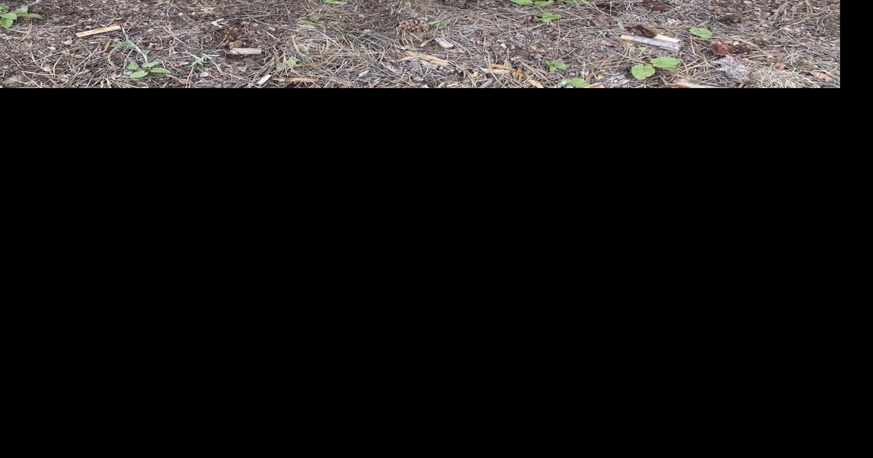 Is the Held decision a tipping point? | Surveying the Views | boulder ...