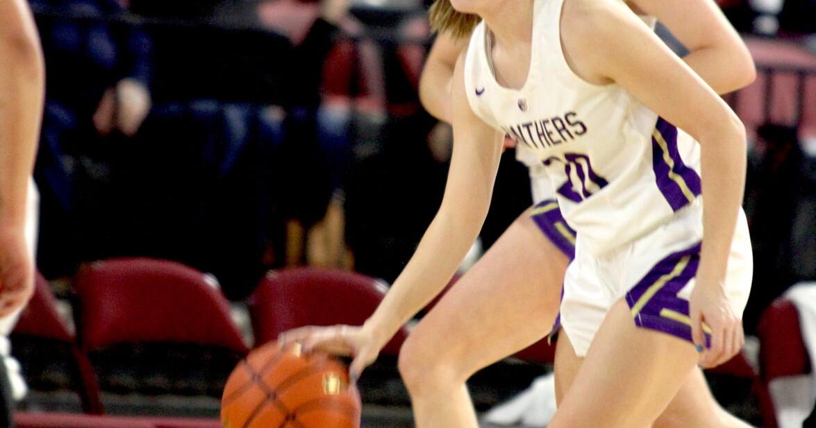 No State this year: Panthers bounced from division tourney | Sports ...