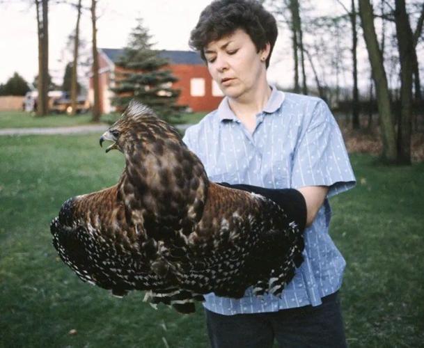 Changing the world, one animal at a time | | boulder-monitor.com