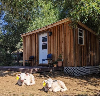 Local meat processors awarded COVID aid grant | News | boulder-monitor.com