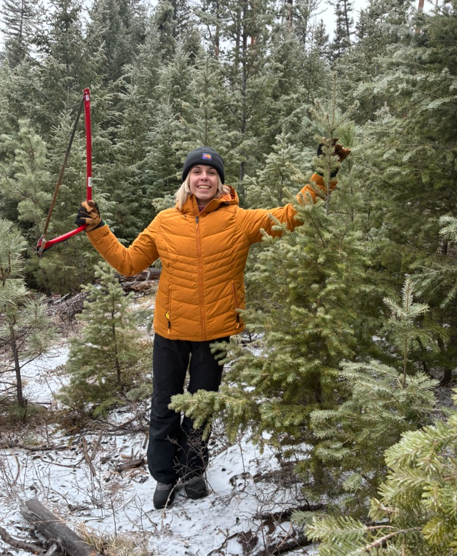 Oh Christmas tree, oh Christmas me | Features | boulder-monitor.com