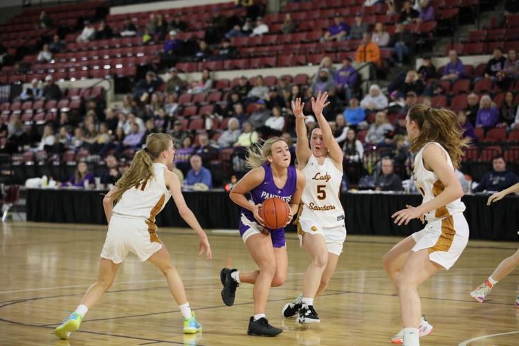 No more hoop dreams: Panthers’ season ends in Billings | Sports ...