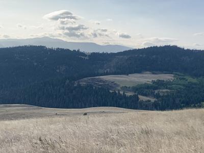 Clancy VFD douses potential wildfires; arson suspected | News | boulder ...