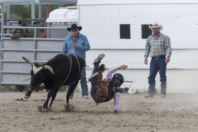 Wyldman Rodeo showcases riders' talents | Multimedia | boulder-monitor.com