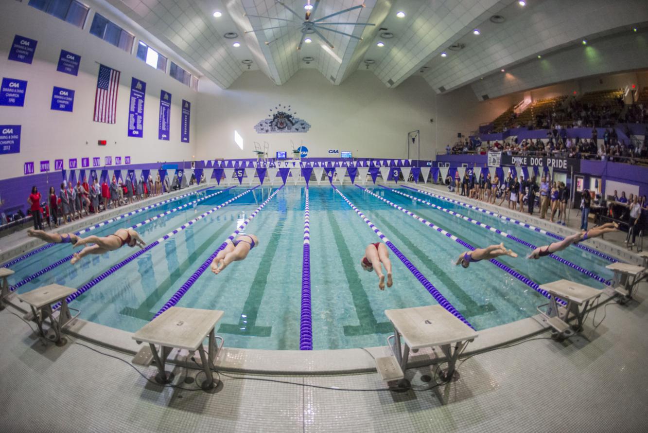 Four JMU swim & dive athletes named Scholar All-Americans | Sports ...