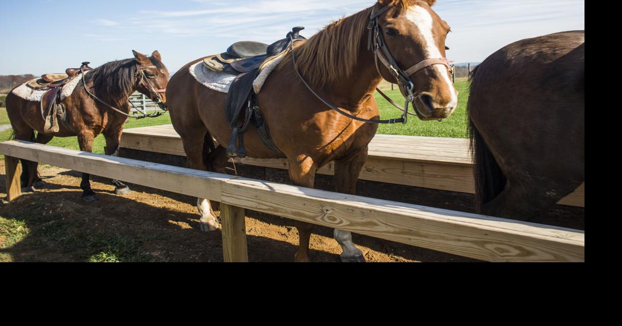 Star B Stables in Staunton offers horseback rides in the countryside ...