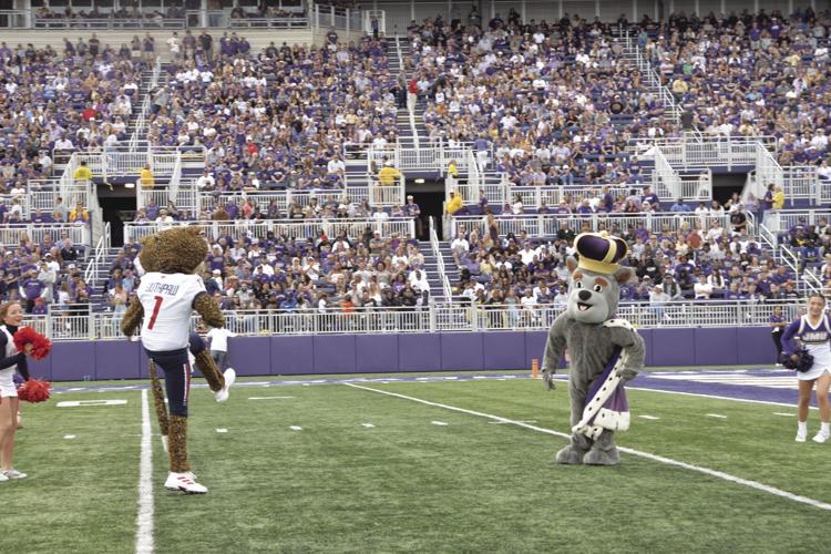 A day in the life of JMU’s mascot, Duke Dog, during a home football ...