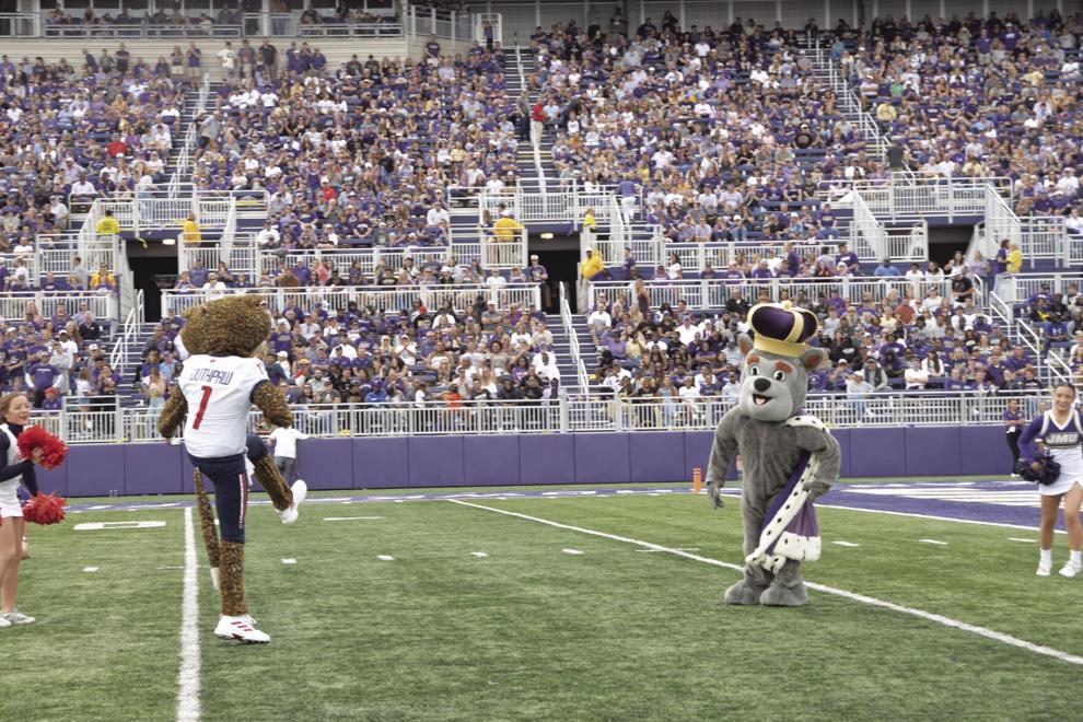 A day in the life of JMU’s mascot, Duke Dog, during a home football ...
