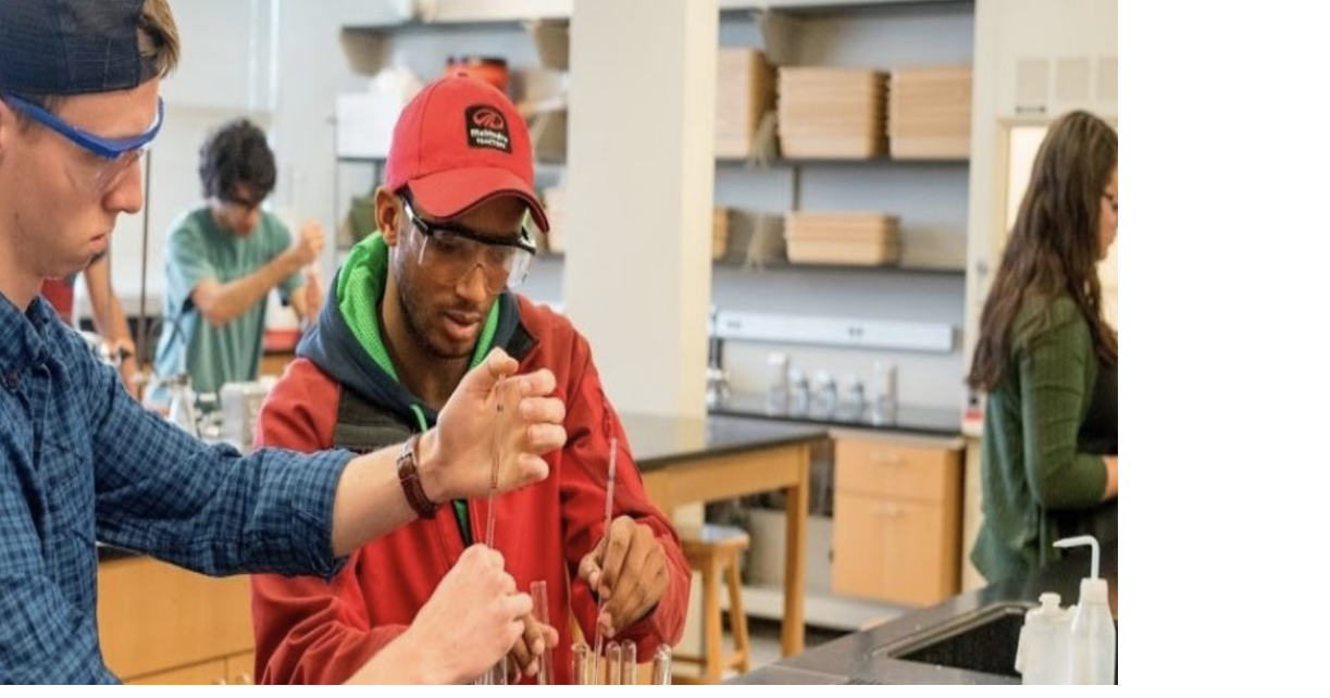 JMU professors receive grant from National Science Foundation | News ...