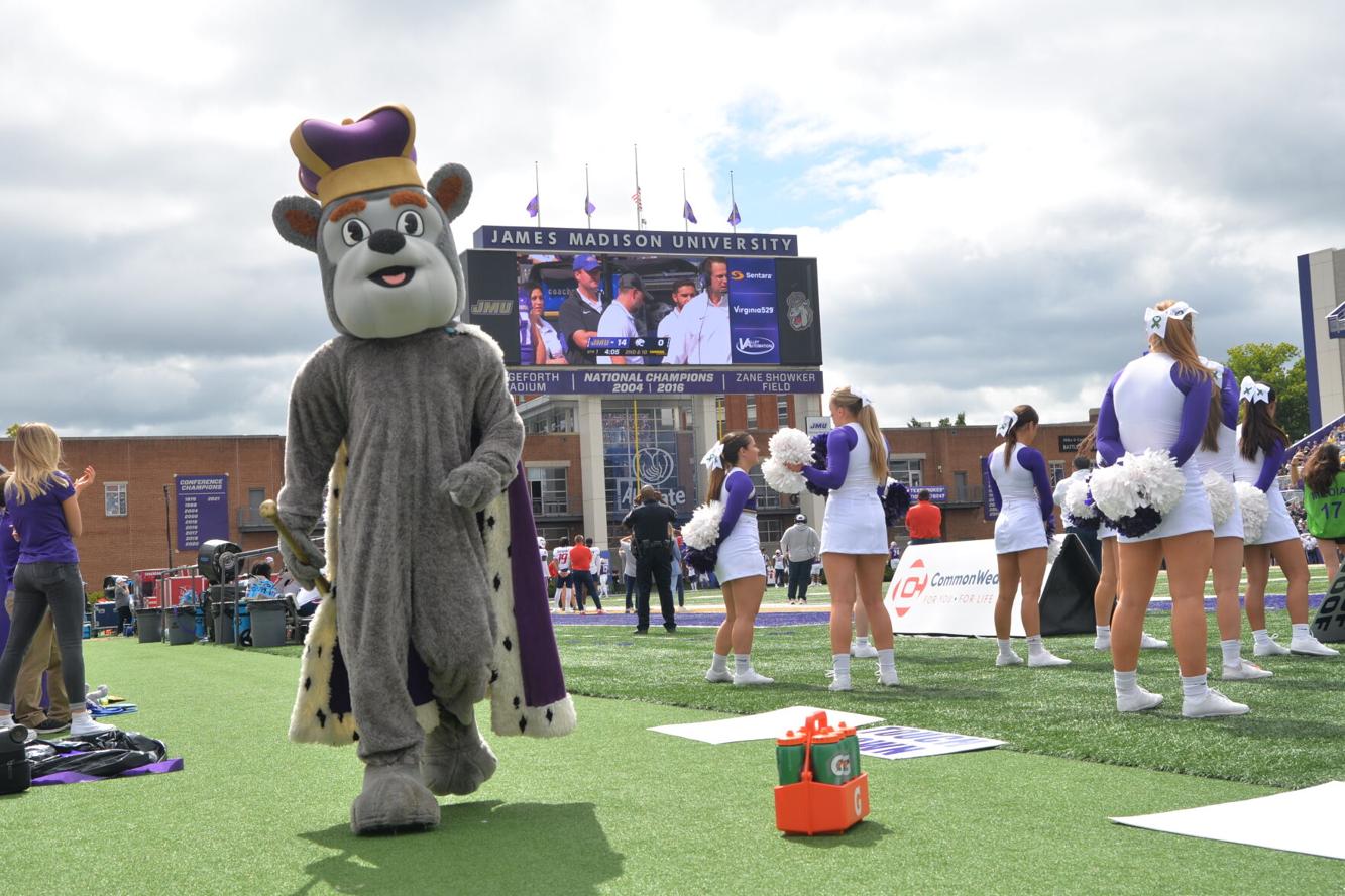 A day in the life of JMU’s mascot, Duke Dog, during a home football ...