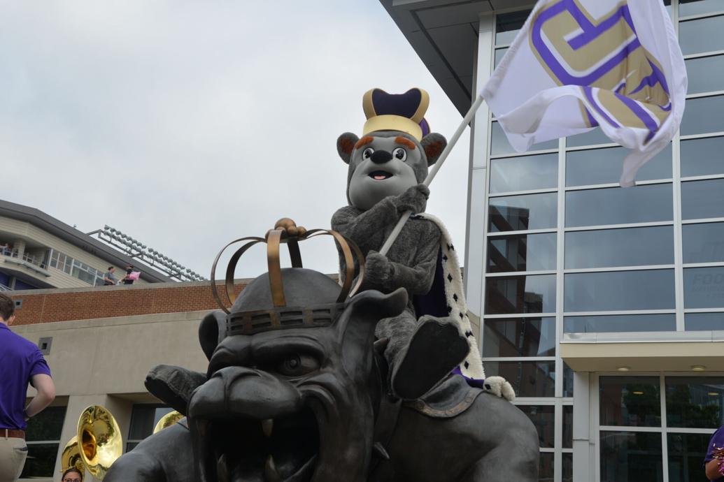 Photos: A day in the life of Duke Dog | Multimedia | breezejmu.org