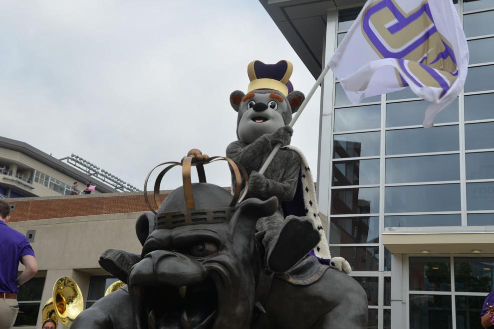 Photos: A day in the life of Duke Dog | Multimedia | breezejmu.org