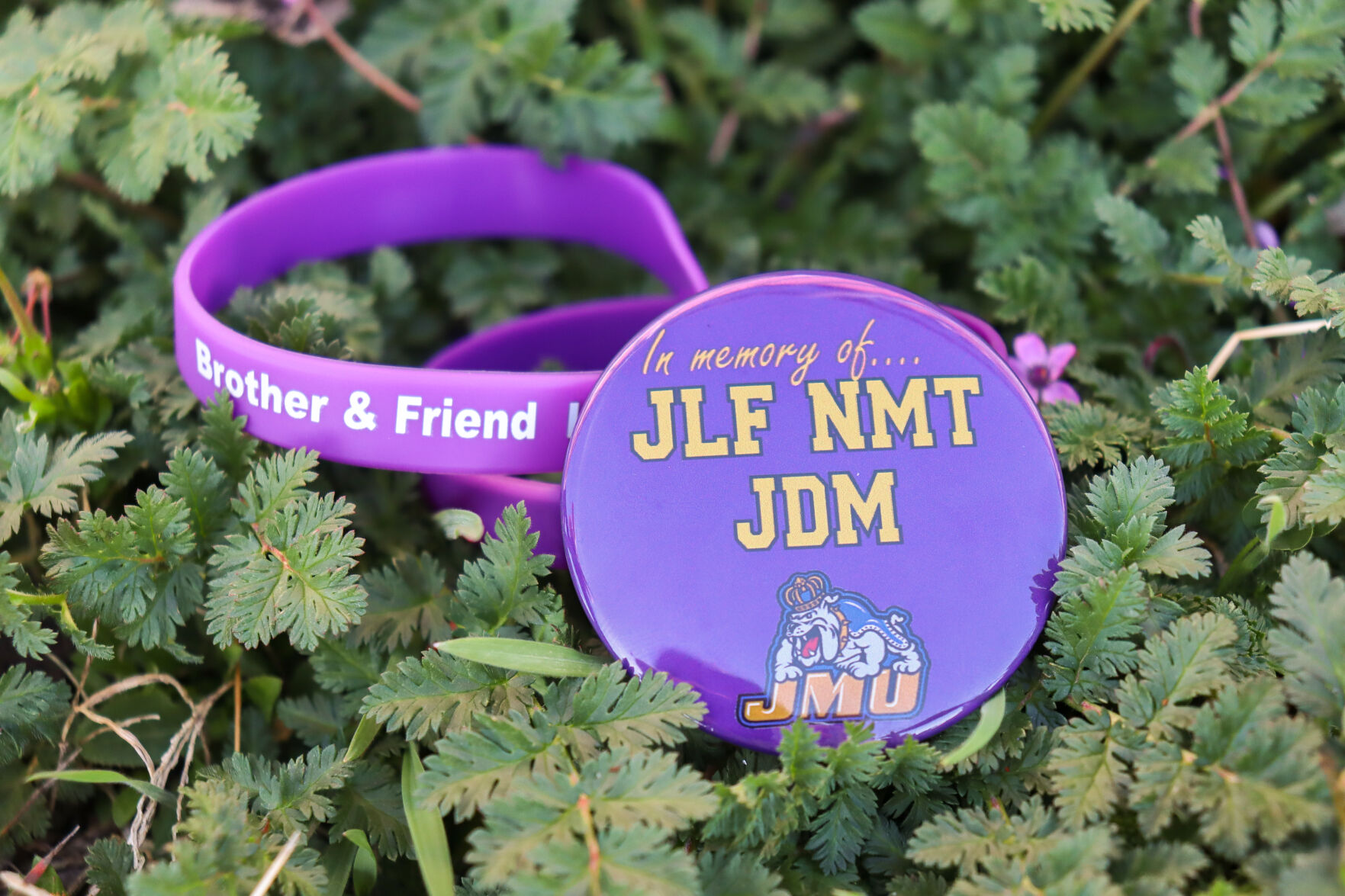 Fatal JMU student car crash investigation still pending after charges filed | News | breezejmu.org