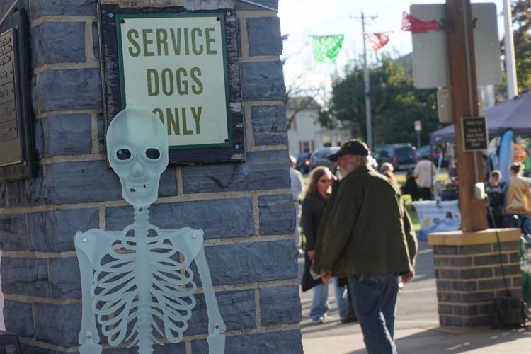 Skeleton Festival brings Halloween spirit to Harrisonburg ...