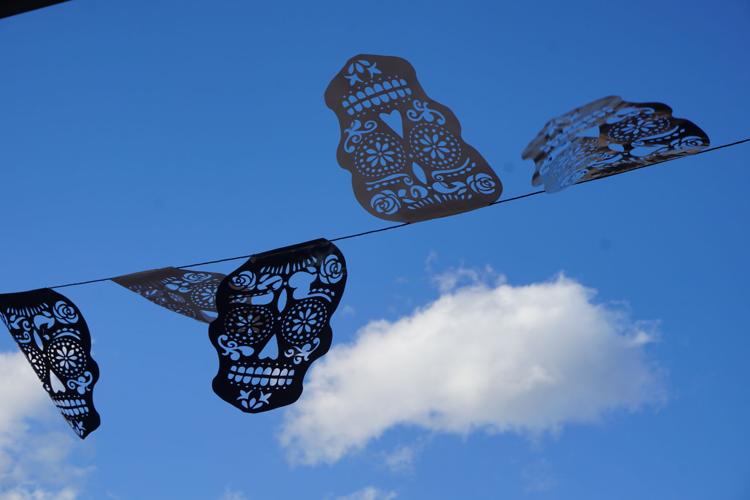 Skeleton Festival brings Halloween spirit to Harrisonburg ...