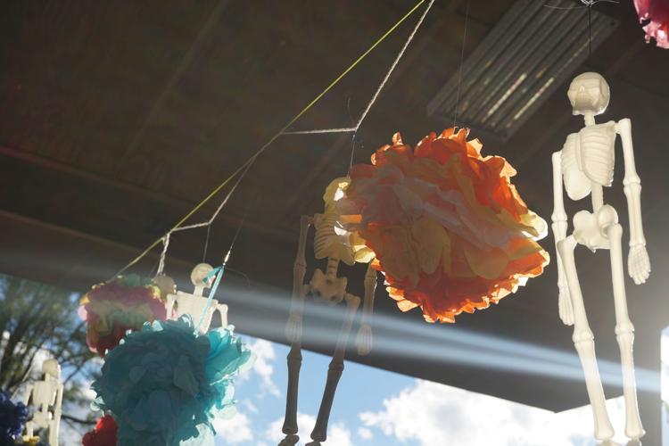 Skeleton Festival brings Halloween spirit to Harrisonburg ...