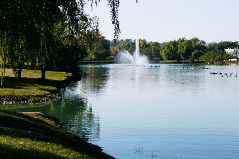 JMU student welcomes her Albany family for Family Weekend rivalry ...