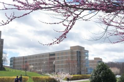 Opinion | We deserve a spring break | Opinion | breezejmu.org