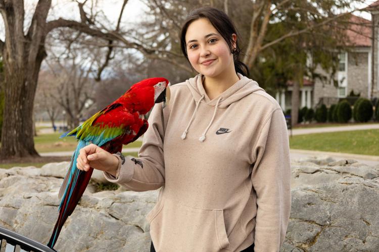 Photos: Students enjoy warm February day with furry and feathered ...