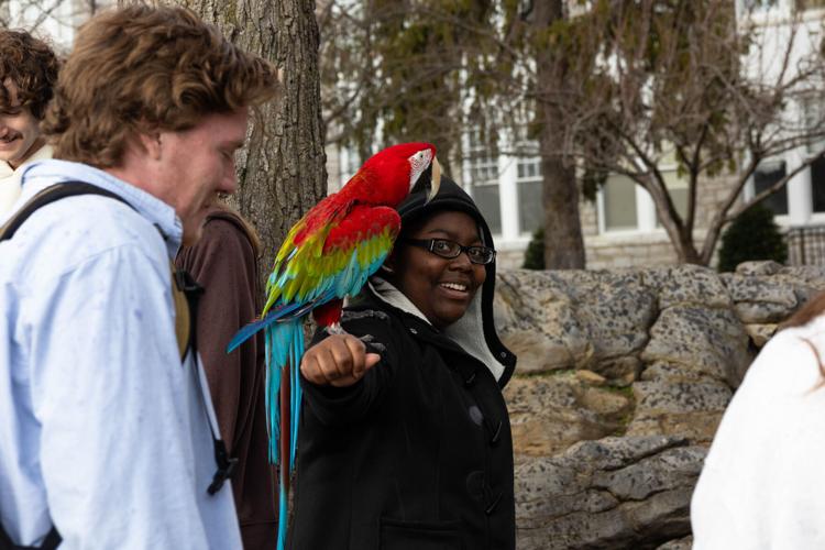 Photos: Students enjoy warm February day with furry and feathered ...