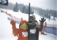 The Duke Dog mascot through the decades | Culture | breezejmu.org