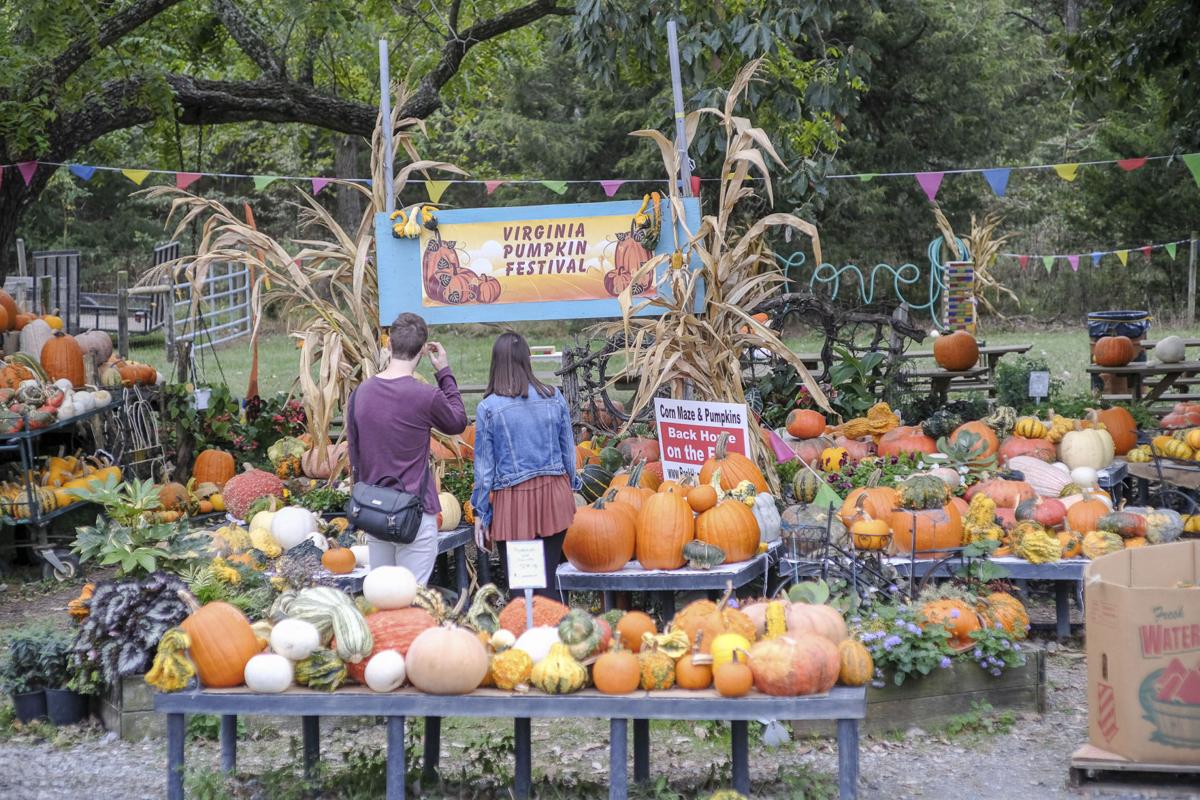 Places to visit around JMU | Multimedia | breezejmu.org