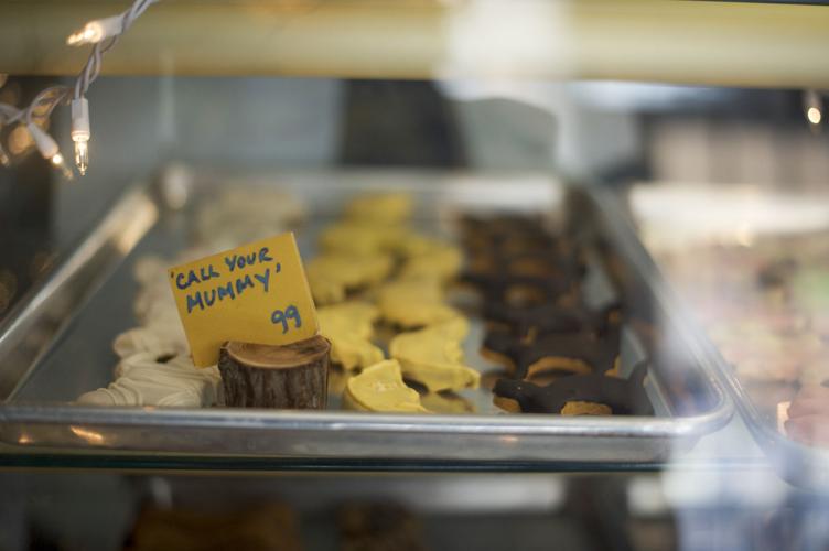 Blue Ridge Dog comes to the 'Burg | Life | breezejmu.org