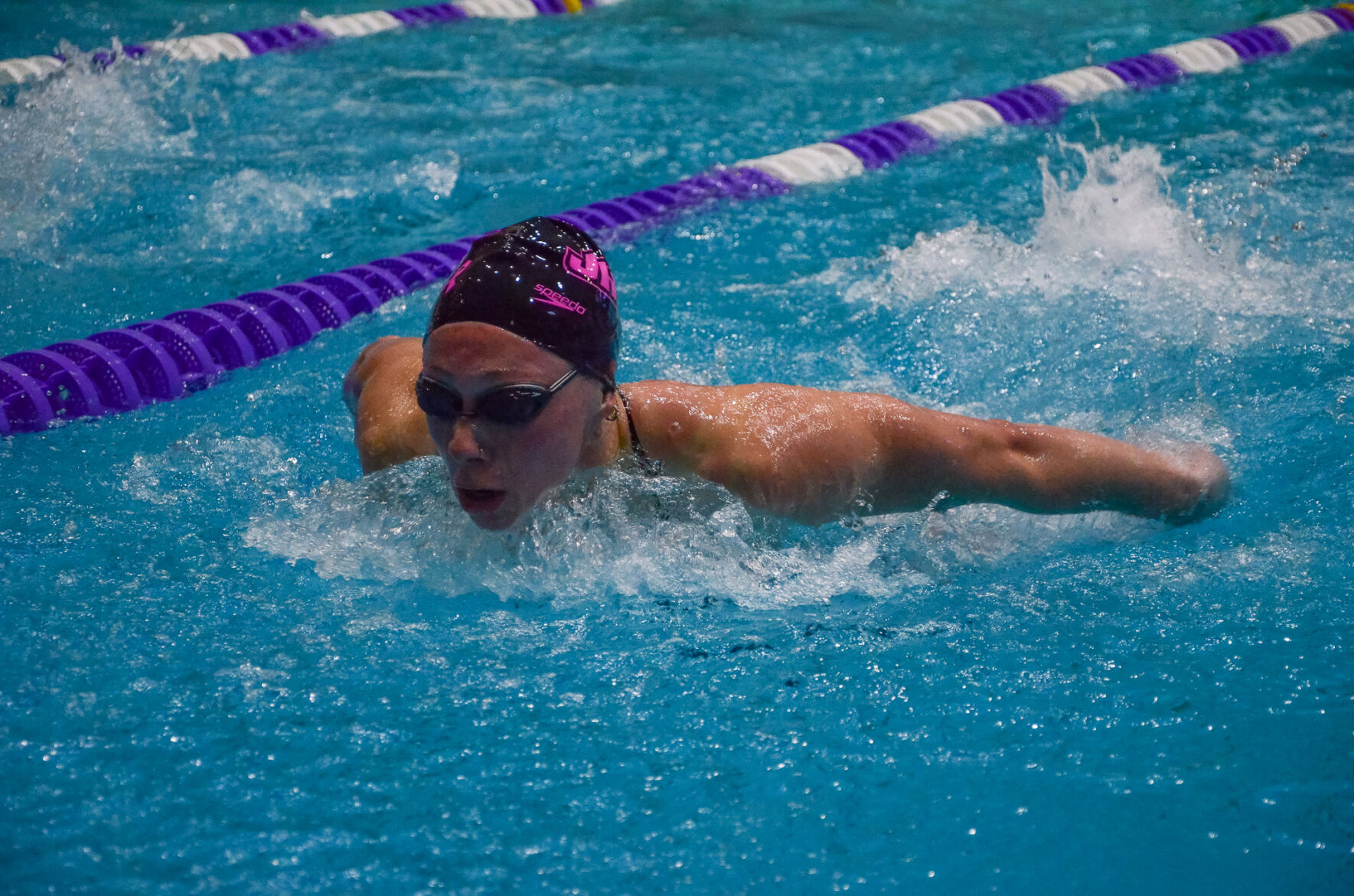 JMU swim & dive earns senior day wins over George Mason, Fairfield ...