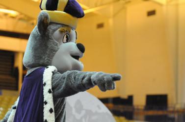 Auditions held in search of the new Duke Dog | Sports | breezejmu.org
