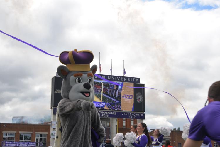 Photos: A day in the life of Duke Dog | Multimedia | breezejmu.org