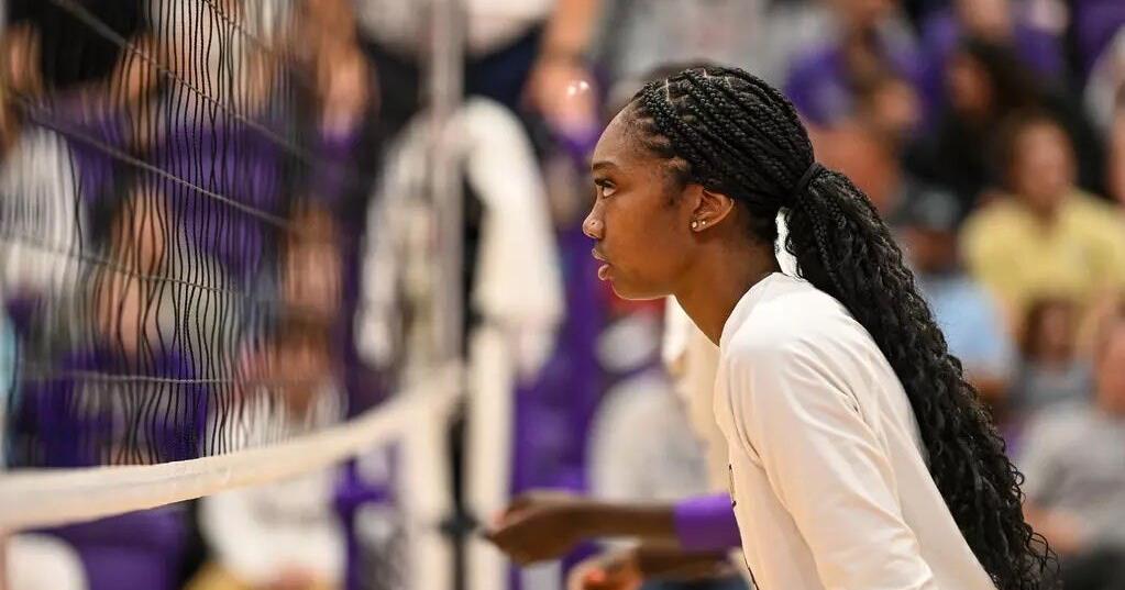 JMU volleyball splits doubleheader with Georgia State | Sports ...