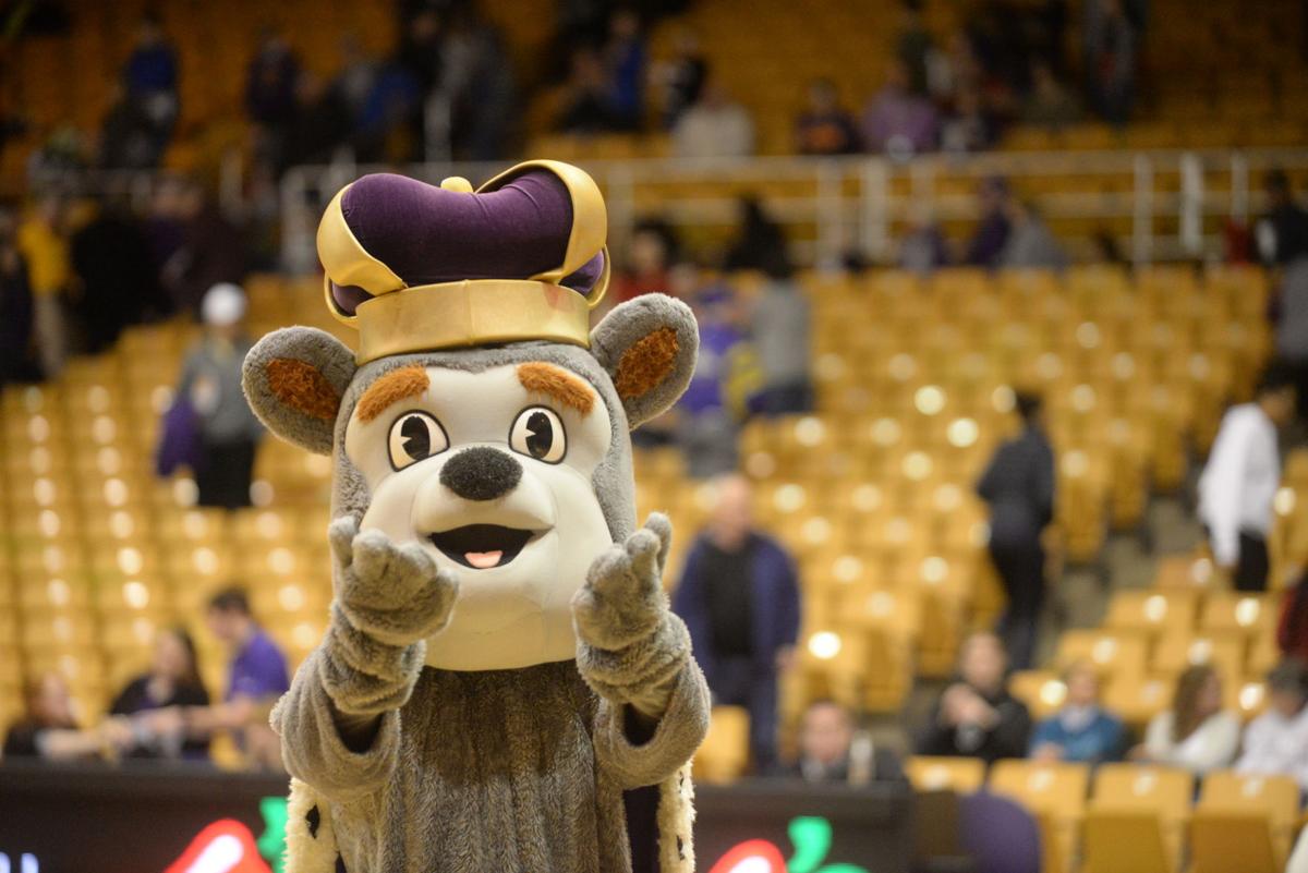 Dear Freshmen: A letter from Duke Dog | Madison101 | breezejmu.org