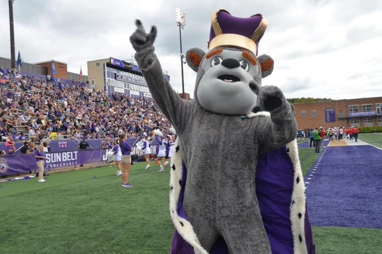 Photos: A day in the life of Duke Dog | Multimedia | breezejmu.org