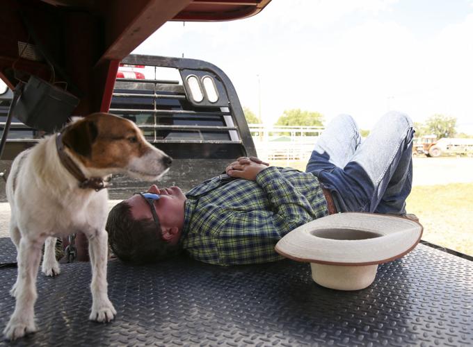 Return of Rodeo: Summer rodeos return to Buffalo's Tuesday nights ...