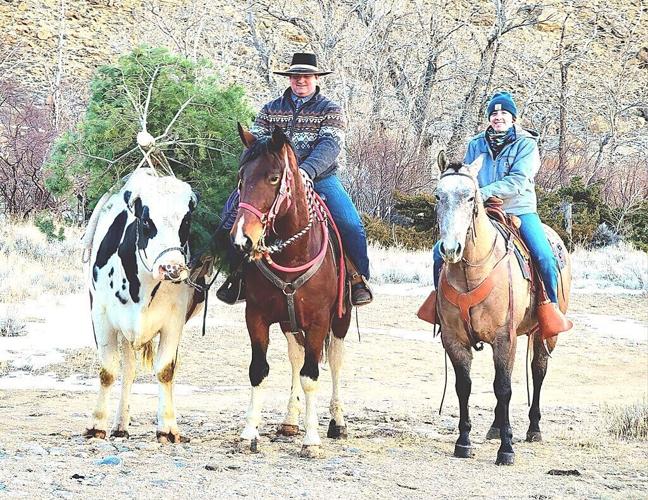 Leroy the holiday Holstein delivers Christmas spirit to Rock Creek ...