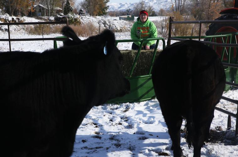 Hay broker helps fill shortage | Local News | buffalobulletin.com