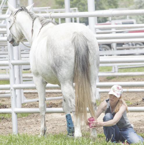 Kick Em Up Cans kicks off | Sports | buffalobulletin.com