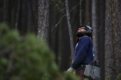 Fighting fire with feds: Hearing focuses on more intensive forest ...