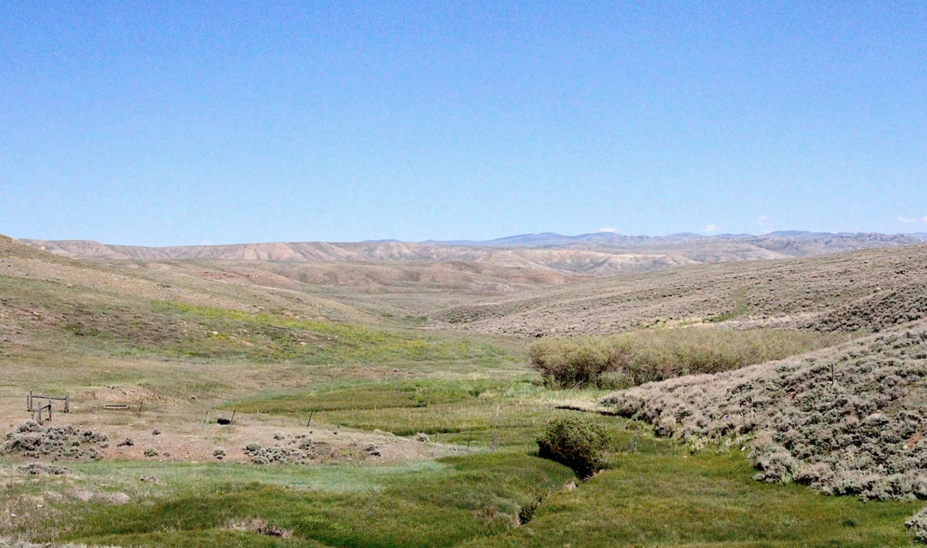 Drought delivers ‘worst case scenario’ for fire scar recovery in ...