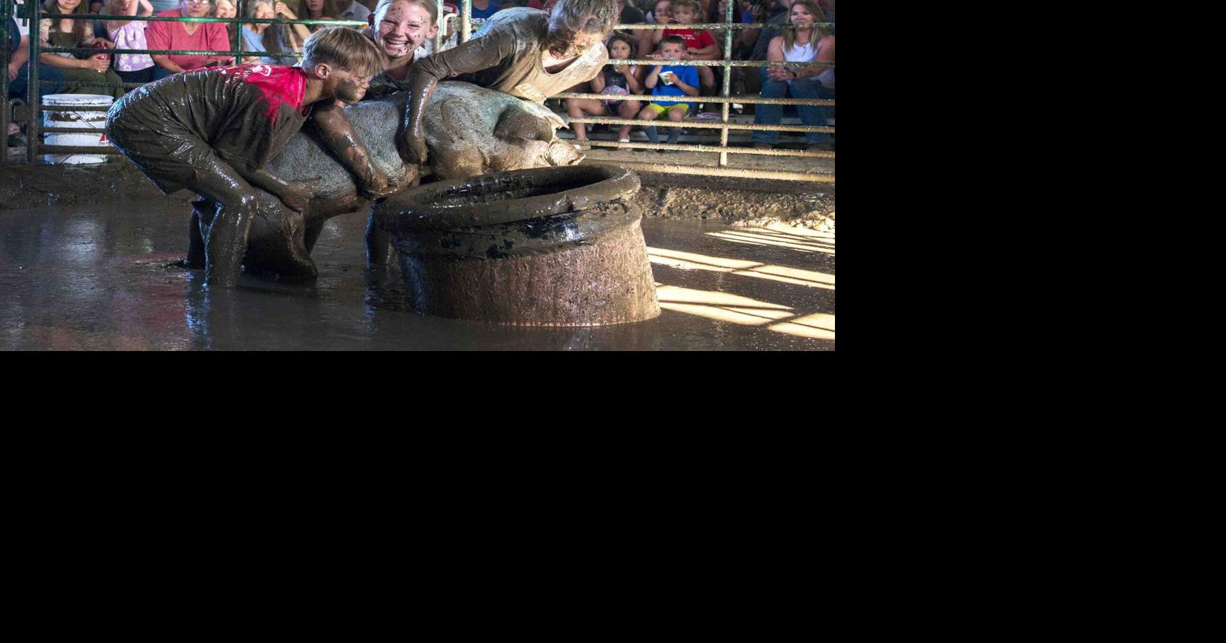 Photo Gallery: Pig Wrestling Championship | News | buffalobulletin.com